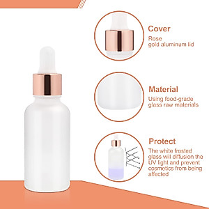 6 Pack,Frosted Glass Essential Oil Dropper Bottle,Empty Glass Liquid Container Holder With Glass Eye Dropper,Rose-Golden Caps Travel Perfume Cosmetic Container-Pipette&Funnel included (30ml/1 Ounce)