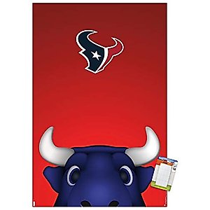 Trends International NFL Houston Texans - S. Preston Mascot Toro 20 Wall Poster, 14.725" x 22.375", Premium Poster & Mount Bundle