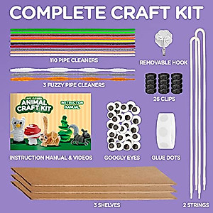 Art and Crafts Kit for Kids Ages 8-12, Create and Display Animals, Kit Includes Supplies & Instruction, Best Craft Project for Kids Ages 7,8,9,10,11,12 Great Gift!