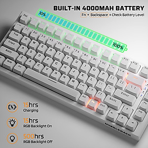 LTC Nimbleback NB831 Wireless 75% Gasket Triple Mode BT5.0/2.4G/USB-C Wired Hot Swappable Mechanical Keyboard, 83-Keys Bluetooth RGB Compact Gaming Keyboard with Software, Red Switch