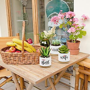 Whonline Birthday Gifts for Wife from Husband Unique, Succulent Pots Planter Gifts for Women Mothers Day Anniversary, Romantic Best Wife Ever Gifts for Any Occasion, Arrive Beautifully Gift Boxed