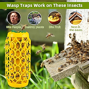 Sticky Fly Traps Outdoor Hanging,Fruit Fly Traps for Indoors,Wasp Trap Bee Traps Catcher,Yellow Jacket Trap,Flying Insect Trap,2 Pack Wasp Deterrent Killer Fly Insect Catcher with 4 Sticky Boards