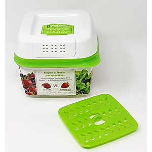 Fresh Produce Saver 591ml Storage Container - Green & White - 3 Piece Set