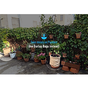 Burlap Bags for Vegetables & Gardening, 22" X 36"- Burlap Sacks Perfect for Kids - Plant Covers - Holds Up to 50lbs - Food Grade (Pack of 10)