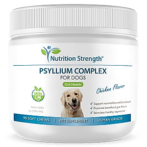 Nutrition Strength Psyllium for Dogs Complex to Promote Your Pet's Gut Health, Stimulate Healthy Digestion, Support Normal Bowel Function, with Psyllium + Inulin, Bromelain & Protease, 90 Soft Chews