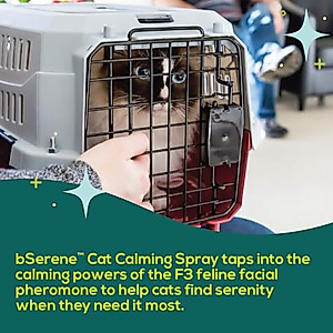 bSerene Pheromone Calming Spray for Cats 60mL
