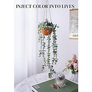 JOFAMY Hanging Planters for Indoor Plants 3 Pack, 4 Inch Ceramic Succulent Pots Small Hanging Planters Wall Decor Flower Pot with Drainage Hole Cotton Rope for Succulents, Cactus, Herbs Home Decor