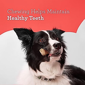 DreamBone Mini Chews With Real Chicken 24 Count, Rawhide-FreeChews For Dogs