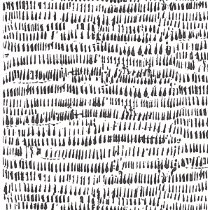 A-Street Prints 2764-24354 Runes Brushstrokes Wallpaper, Charcoal