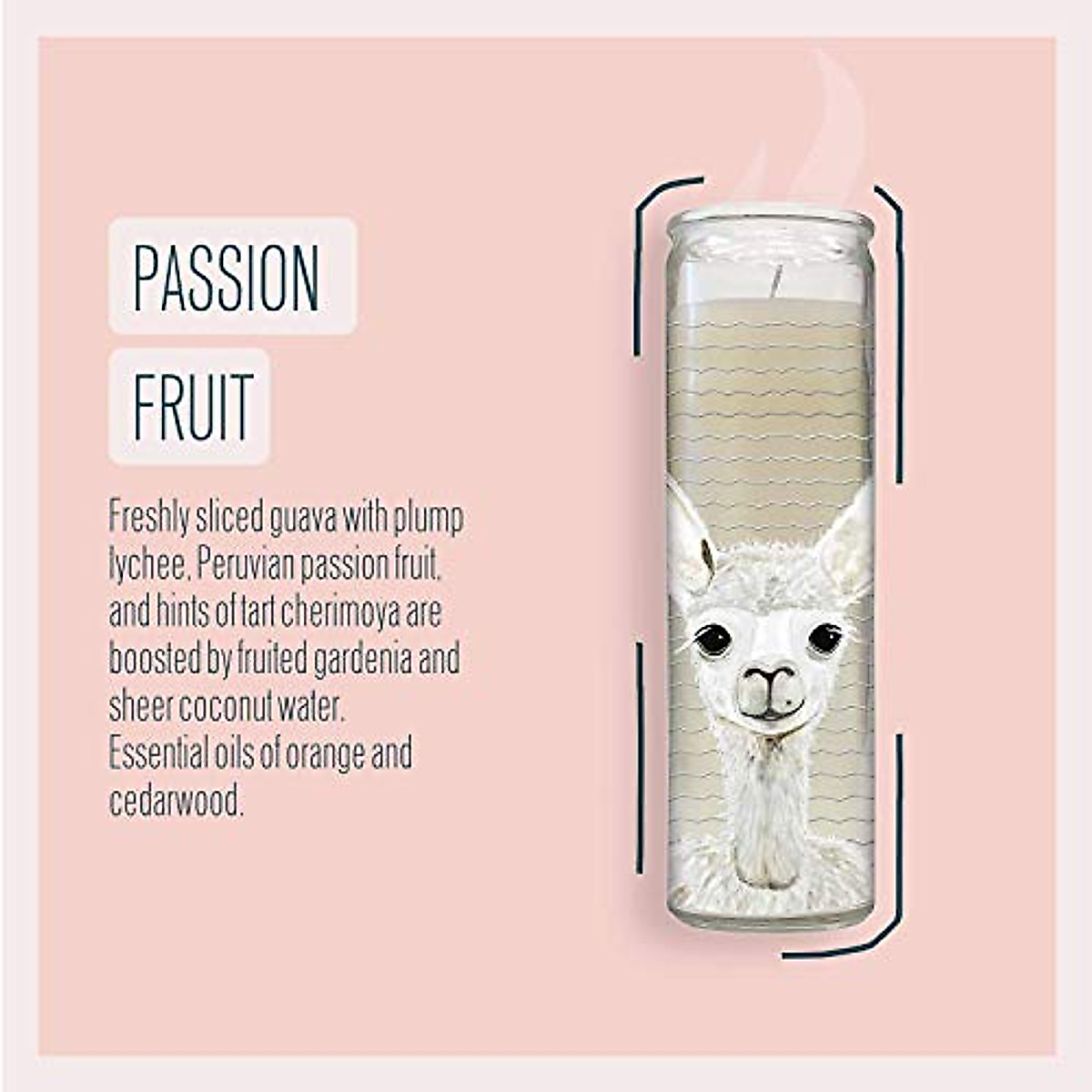 Scented Cathedral Candle by Studio Oh! - 13-Ounce Soy-Blend Wax Pillar Candle in Decorative Glass Container - Passion Fruit - Burns up to 115 Hours