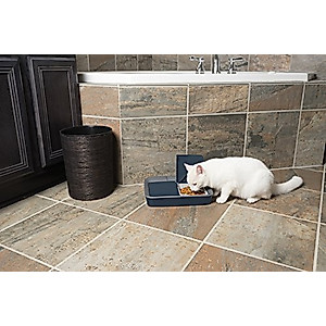 PetSafe Digital 2 Meal Programmable Pet Feeder, Automatic Dog and Cat Feeder - Dry or Semi-Moist Pet Food Dispenser, Slow Feed Portion Control (3 Cup/16 Ounce), Tamper-Resistant, Dishwasher Safe