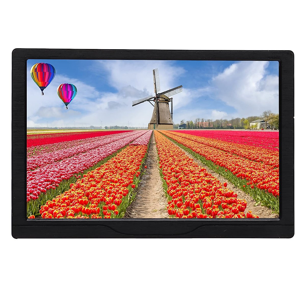 Naroote 10.1 Inch Monitor, Multiinterface HD Display Telecontroller Adjustable Bracket Home Dual (US Plug)