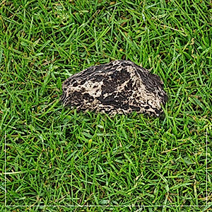 RamPro Hide-a-Spare-Key Fake Rock - Looks & Feels Like Real Stone - Safe for Outdoor Garden or Yard, Geocaching (1)