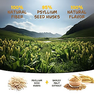 FiberSyl Ovatasyl Prebiotics for Cats Digestive Health - Cat Fiber Supplements for Constipation Relief & Support - Psyllium Husk Seed for Cat' Digestion Problems - Cat Stool Hardener - 60 Capsules