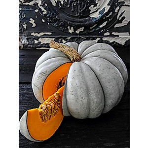 Jarradale Pumpkin Seeds for Planting, Pale Green Color, (Jarrahdale) 10 Heirloom Seeds, (Isla's Garden Seeds), Non GMO Seeds, Botanical Name: Cucurbita Maxima, Great Home Garden Gift