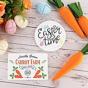 Easter Decorations - Easter Decor -6 Pieces Tiered Tray Decor Set Gnomes Plush,3 Carrots and 2 Wooden Signs Farmhouse Rustic Tiered Tray Decro for Home Table House Room