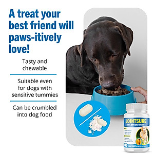 JOINTSURE Hip and Joint Supplement for Dogs 300 Tablets | Formulated with Glucosamine & Chondroitin for Dogs | Proven to Improve Mobility & Increase Flexibility | All Breeds & Sizes
