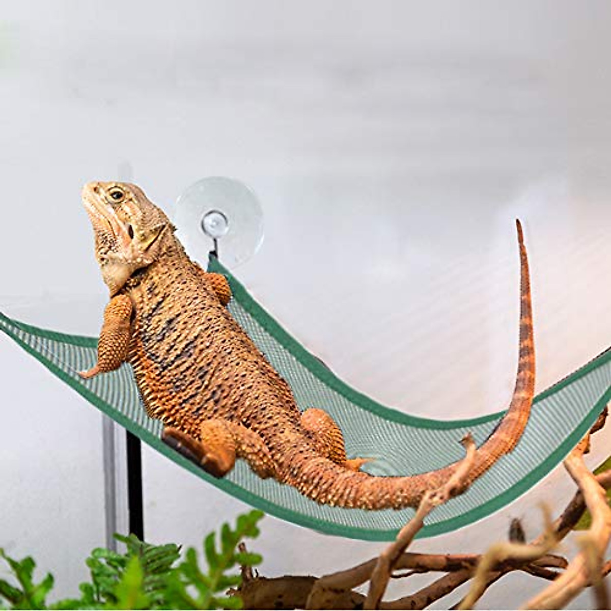 ADOGGYGO Bearded Dragon Lizard Hammock Reptile Hammock Lounger Ladder Bearded Dragon Hammock Accessories for Bearded Dragons Geckos Lizards Reptile (Green)