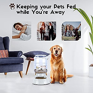 Flexzion Gravity Pet Feeder Food Dispenser (6-12 lb Size) for Dogs Cats Automatic Replenish Dry Food Storage Container Bowl for Small Medium Breed Dog Cat Animal Feeding Watering Fountain Supplies