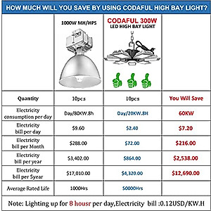 300W LED shop light, 6500K, 1000W Eq- Ultra-Bright high Bay for workshop, 30000lm Plug-in with Hanging Hook, Safety Rope - Ideal for Garage, Warehouse, Residential Barn, Factory, Workshop Lighting