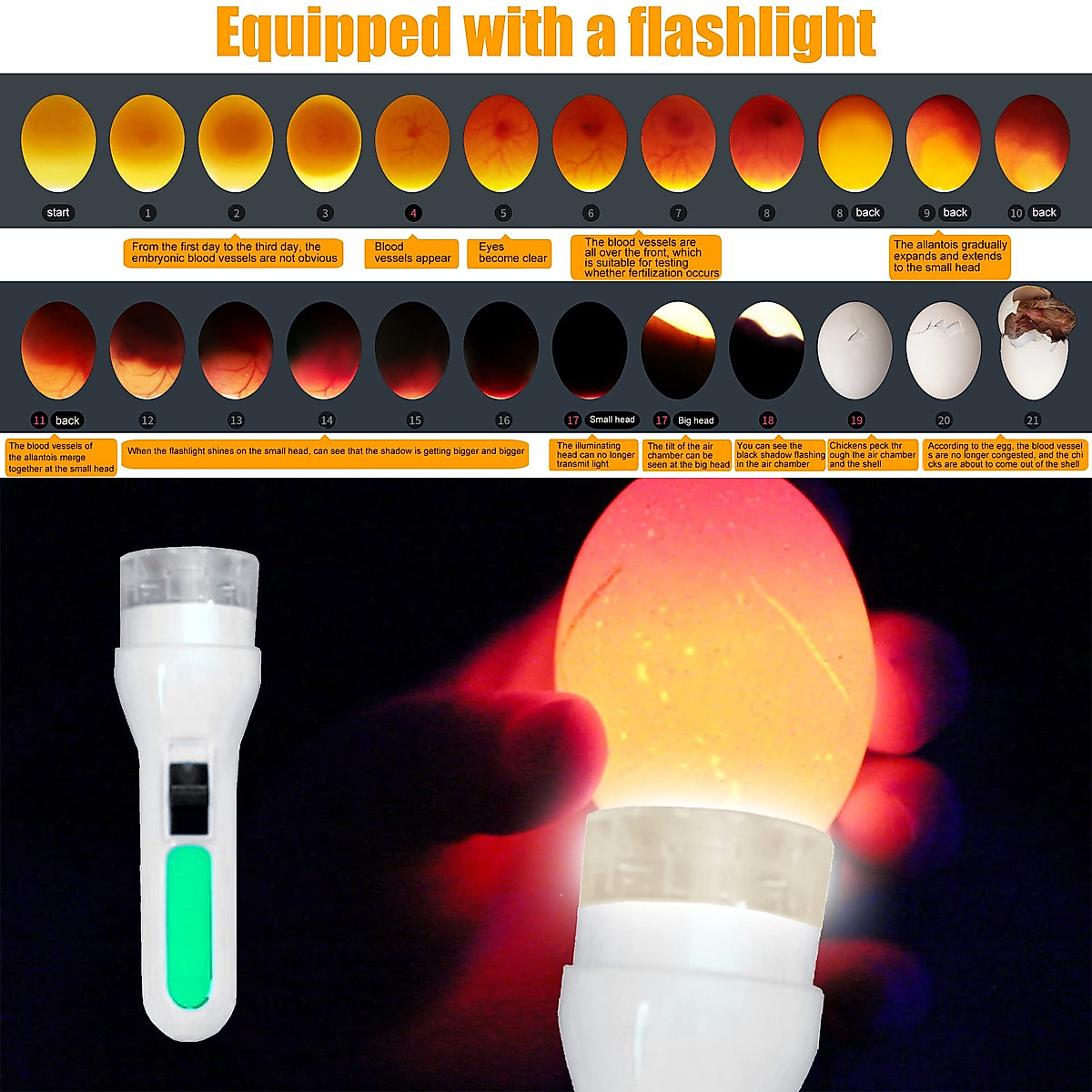 Eggs Incubators for Hatching Eggs,Automatic Egg Turner, Temperature Humidity Control,Egg Incubator Clear View,Egg Candler,Poultry Egg Incubator for Hatching Chicken Eggs, Quail Eggs, Duck Eggs, Turkey