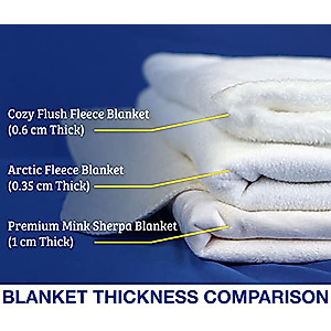 A Woman Cannot Survive On Alone She Also Need A Springer Spaniel Blanket Gift For Dog Lovers Birthday Gift Home Decor Bedding Couch Sofa Soft and Comfy Cozy