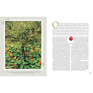 The Fruit Gardener's Bible: A Complete Guide to Growing Fruits and Nuts in the Home Garden