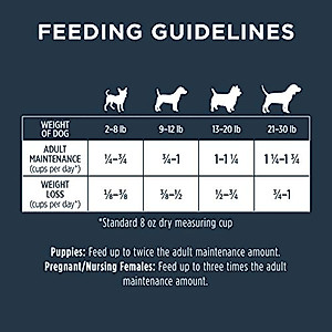 Instinct Raw Boost Small Breed Grain Free Recipe with Real Chicken Natural Dry Dog Food, Bag, 10 Pound (Pack of 1)