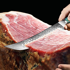 XT XITUO Butcher Knife – 10″ Cimitar & Breaking Knife Knife – Japanese VG-10 Damascus Steel – Full Tang & Razor Sharp – Ergonomic Abalone Shell Handle Design -Dazzling Series