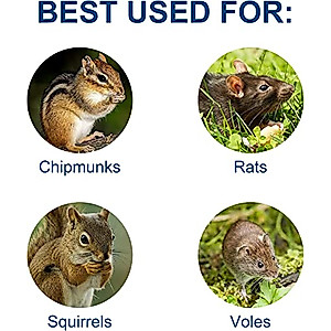 Mouse Trap - Bucket Mouse Trap - Flip and Slide Bucket Lid Mouse Trap - Rat Trap-5 Gallon Mouse Trap Bucket lid-Humane or Lethal-Multi Catch-Auto Reset-Indoor Outdoor-Reusable (3-Pack)