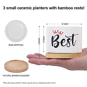 Whonline Birthday Gifts for Wife from Husband Unique, Succulent Pots Planter Gifts for Women Mothers Day Anniversary, Romantic Best Wife Ever Gifts for Any Occasion, Arrive Beautifully Gift Boxed