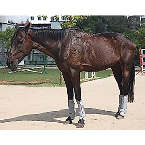 Horse Fly Boots - Fly Horse Boots Perfect for Equine Leg Wraps and Maximum Horse Fly Protection Set of 4 (Grey, Pony)