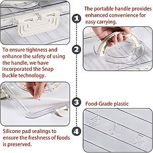 Snackle Box Container Snack Divided Serving Tray With Lid And Handle Trays Picnic Containers Snackel Organizer Boxes Fruit Travel for Party 8 Compartment Snackle box Snacks Dry (Pack of 2)