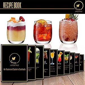 Ignite Lifestyle Cocktail Shaker Set - 24oz Martini Shaker with Built-in Strainer, Recipe Book, Muddler, Mixing Spoon, Measuring Jigger, 2 Liquor Pourers - Drink Shaker, Bartender Kit for Home Bars