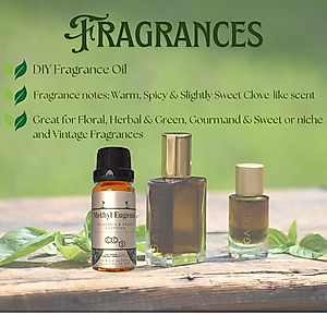 Methyl Eugenol High Purity Aroma Compound 100ml (3.3 fl oz)