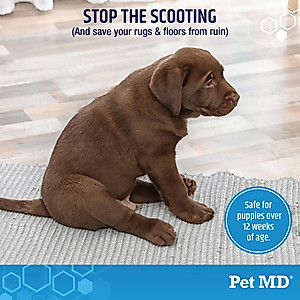 Pet MD EZ Gland - Dog Anal Gland Chews with Pumpkin and Fiber for Dogs for Digestive Support, Constipation Relief, and Stool Firmer - 60 ct Soft Chews