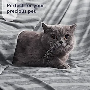 Guohaoi Cooling Blanket (90"x90"Queen Size) for Hot Sleepers and Night Sweats,100% Oeko-Tex Certified,Arc-Chill Q-Max >0.5 Cool Fiber,Ultra Cold Breathable,Comfortable,All-Season.