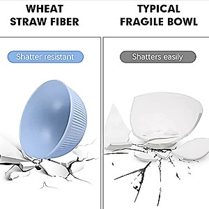 RUIBOLU (Set of 6 Unbreakable Cereal Bowls 24 OZ Microwave and Dishwasher Safe BPA Free E-Co Friendly Wheat Straw Fiber Lightweight Bowl (Tableware)
