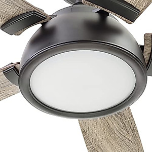 Prominence Home 51639-01 Potomac Smart Ceiling Fan and Remote, 52, Matte Black