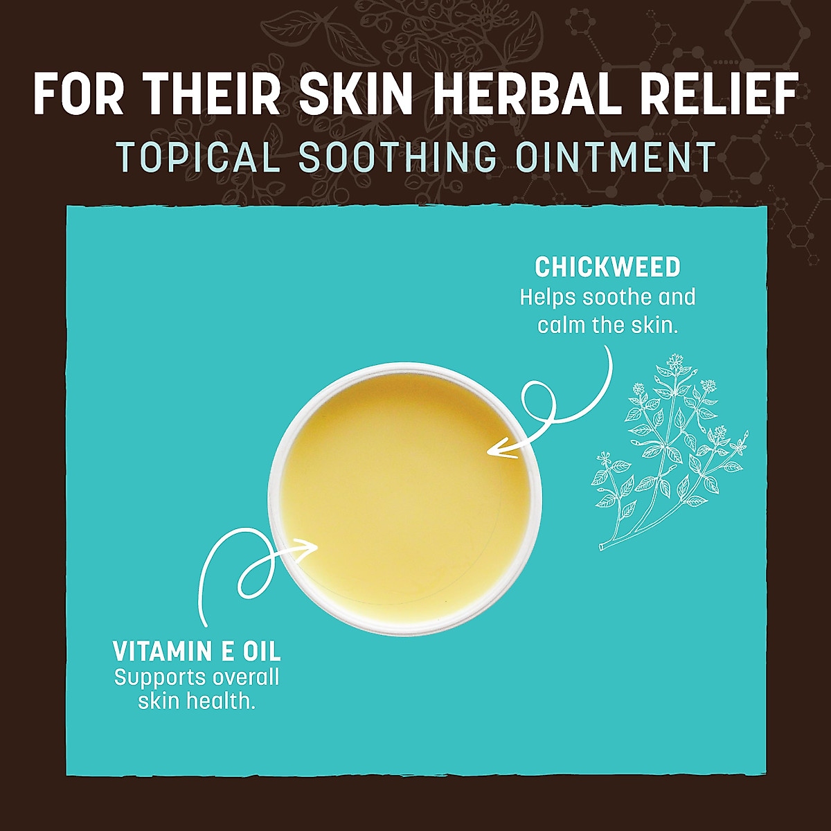 Earth Animal Herbal Remedies | Skin and Paw Soother | 2 fl oz