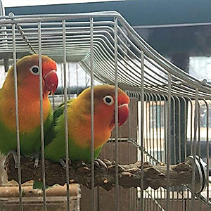 HotMall Bird Perch, US Natural Wood Parrot Perch Stand Paw Grinding Stick Cage Accesssories for Small Birds