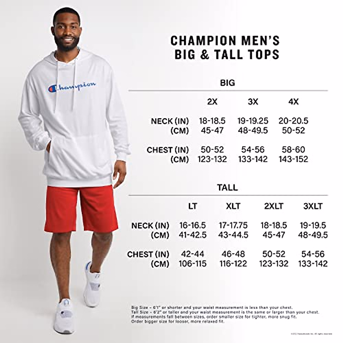 Champion mens Classic Jersey Tee Shirt, Granite Heather, Medium US