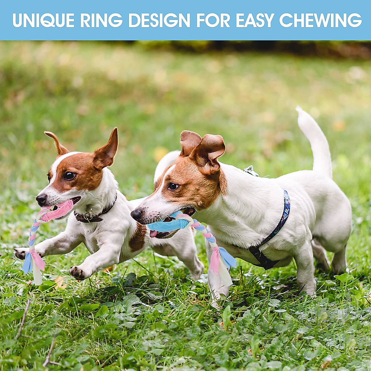 cobee Puppy Toys for Teething Small Dogs, 3 Pcs 360° Deep Clean Small Dog Heart Shaped Chew Ring with Cotton Ropes Interactive Pet Toys for Small Dogs, Oral Teeth Soothes Itching for 2-8 Months Dogs