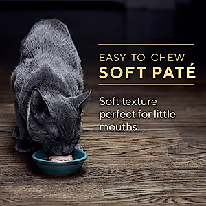 SHEBA Perfect Portions Kitten Paté Wet Cat Food Trays (24 Count, 48 Servings), Savory Chicken and Delicate Salmon Entrée, Easy Peel Twin-Pack Trays