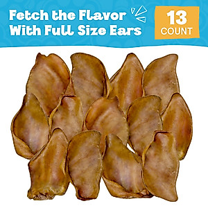 FETCHERONI Whole Pig Ears for French Bulldogs Large - 13 Pack Long Lasting Dog Chews – Dog Treats One Ingredient Delicious All Natural Flavor – Easy to Digest Dog Treats for Large Dog