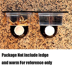 YOGURTCK 100pcs Crested Gecko Feeding Cups Reptile Feeder Bowls for Putting in Water and Food, Fit Lizard and Other Small Animals Pet Supplies 0.5oz