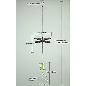 Rosleanny Crystal Garden Suncatcher Hanging Crystals Ornament for Window Rainbow Maker Prisms Home Decor Gift Boxed Sun Catcher Gift Idea for Mom Friends Grandma,Dragonfly