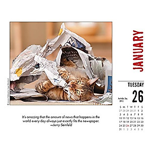 Bad Kitties 2021 Box Calendar