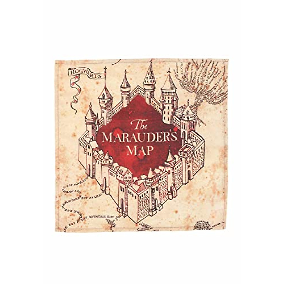 Ramen Bowl with Chopsticks StandardF