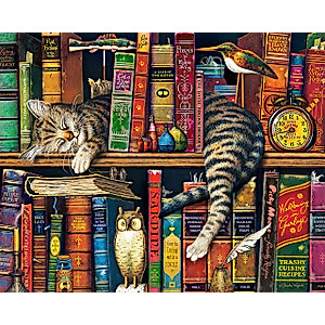 TUMOVO Paint by Numbers for Adults, DIY Oil Painting Charles Wysocki Adult Paint by Numbers Kits on Canvas Wall Decor, Frederick The Literate Painting Kits for Kids, Cats & Books - 16"x20"